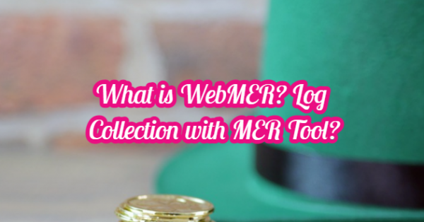 What is WebMER? Log Collection with MER Tool? – SYSTEMCONF